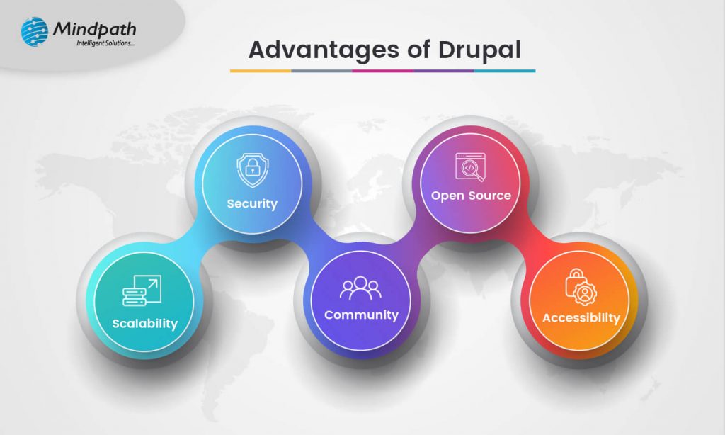 A Detailed Guide to WordPress or Drupal